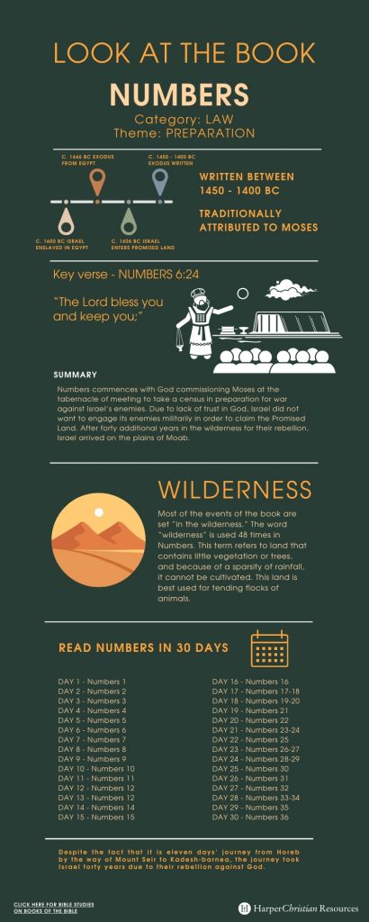 Look at the Book: Numbers [Infographic] | Bible Gateway News & Knowledge