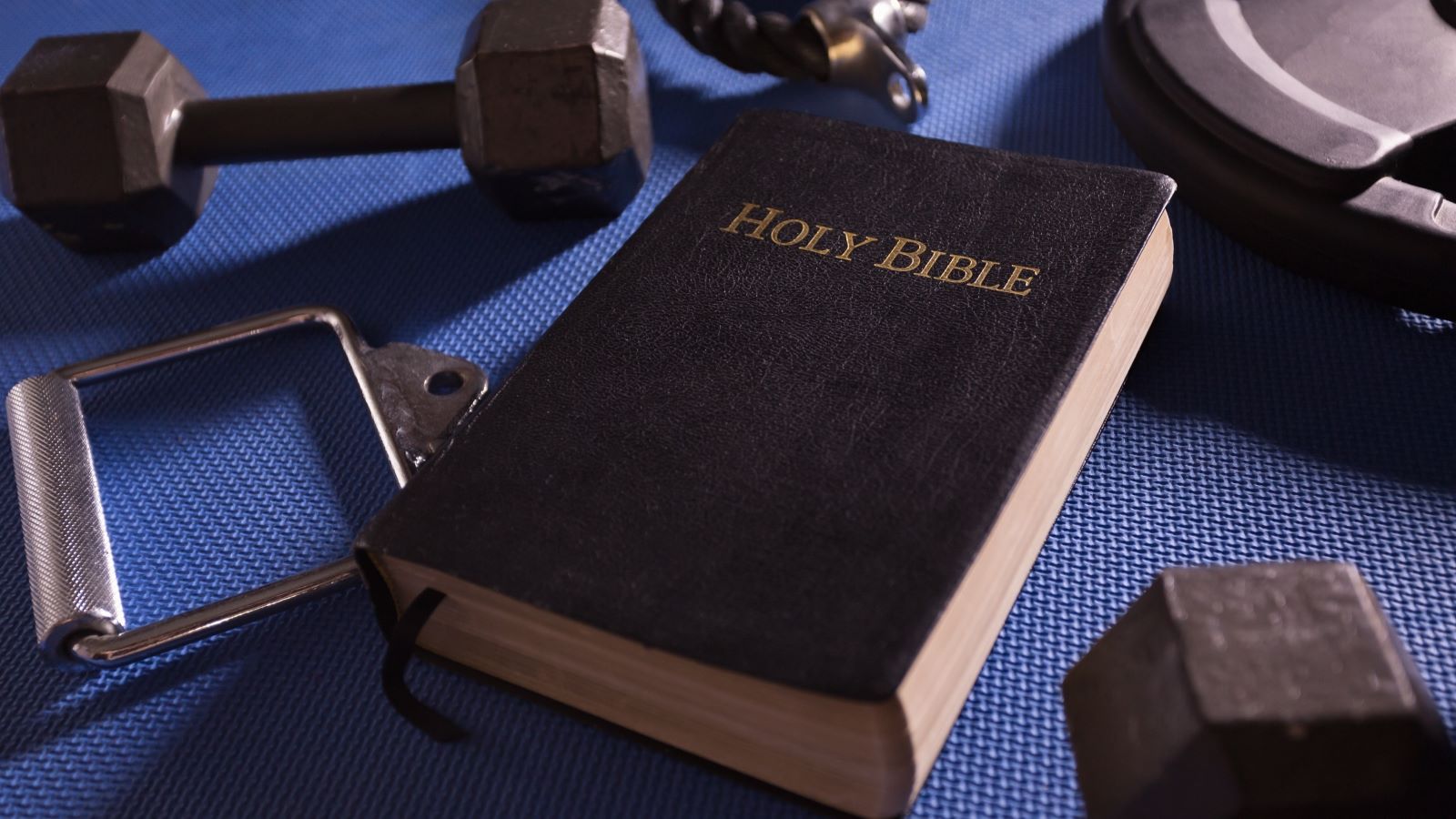 30 Bible Verses on Strength | Bible Gateway News & Knowledge